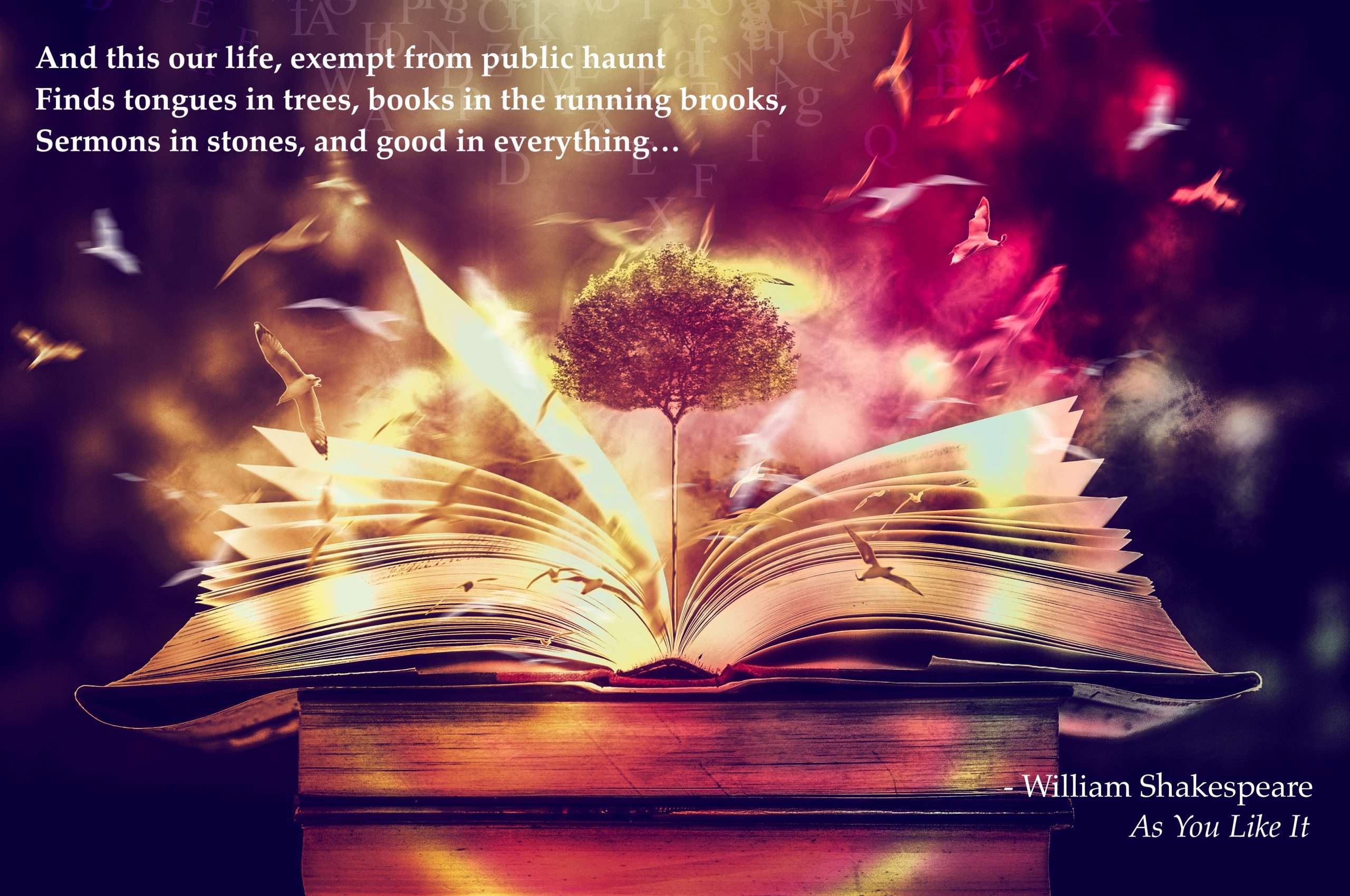 Le Duodecimo 1.1 (May 2020) | Repercussion Theatre